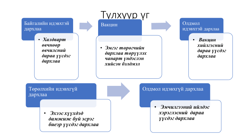 Мэдлээ Цахим контент